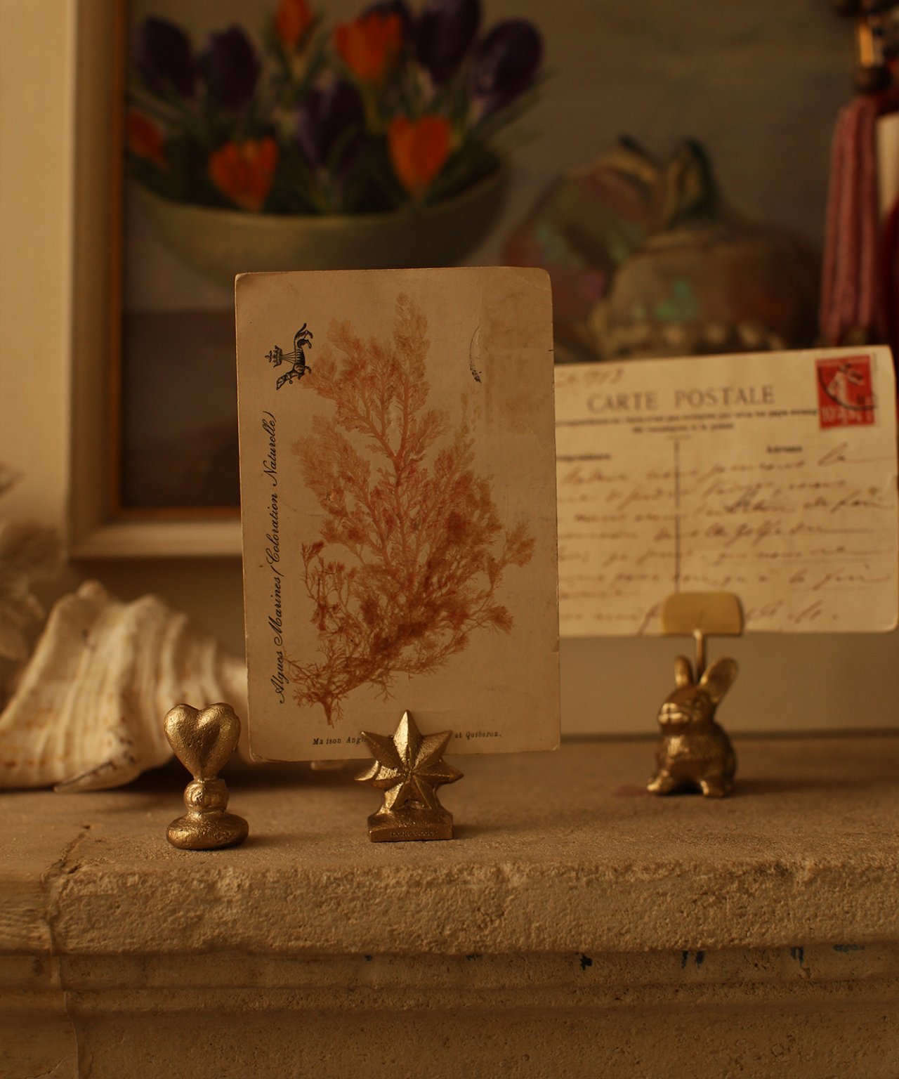 Oda Star Card Holder - Doing Goods