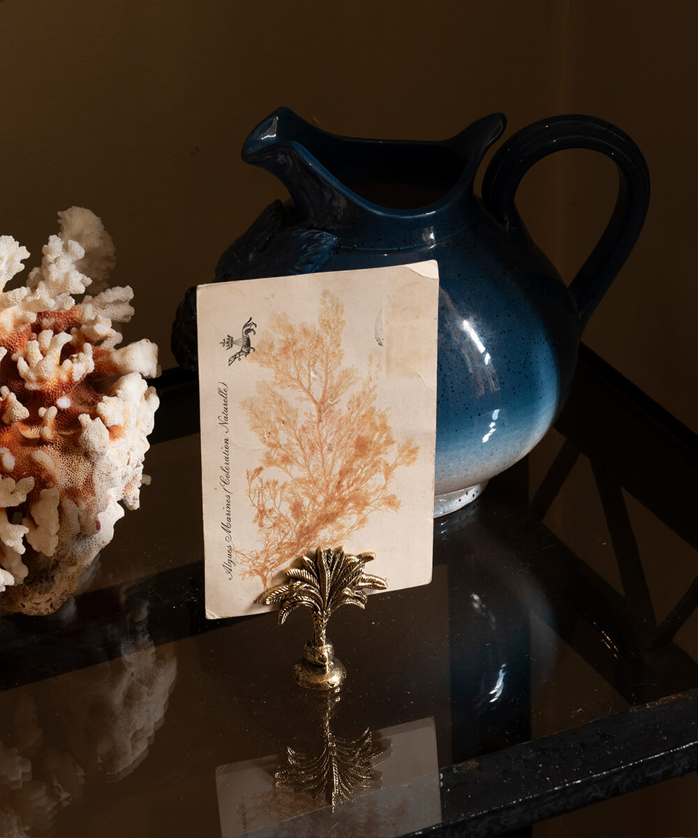 Mia Poppy Card Holder - Doing Goods